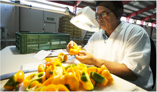 Section: Pest pathways | IPPC PLANT HEALTH CAMPUS | FAO elearning Academy